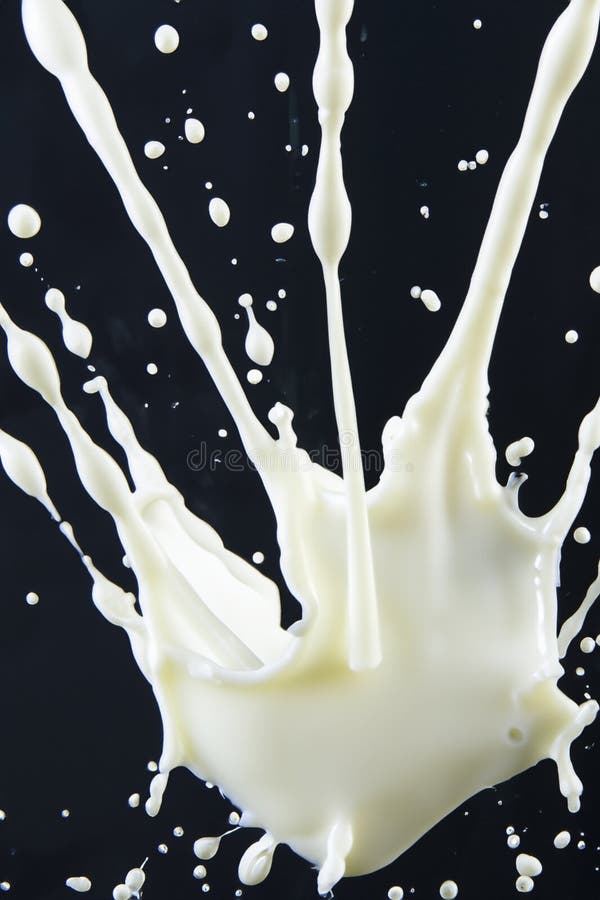 Splashes of Milk stock illustration. Illustration of fluid - 289870278