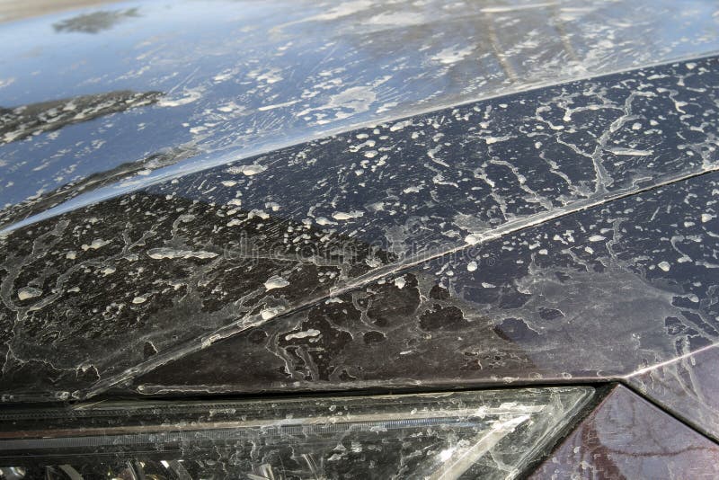 Splashes of Mud on the Hood of a Car Stock Photo - Image of mudsplash ...