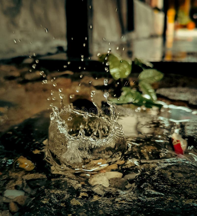 Splashes of Rainwater Falling To the Earth Stock Photo - Image of ...