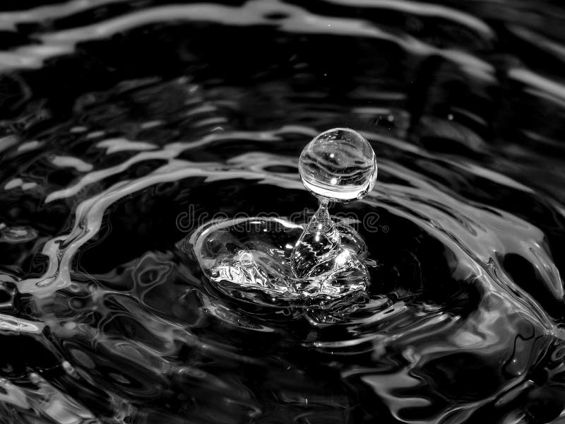 Splashes of Water with a Splash on a Black and White Image Stock Image ...