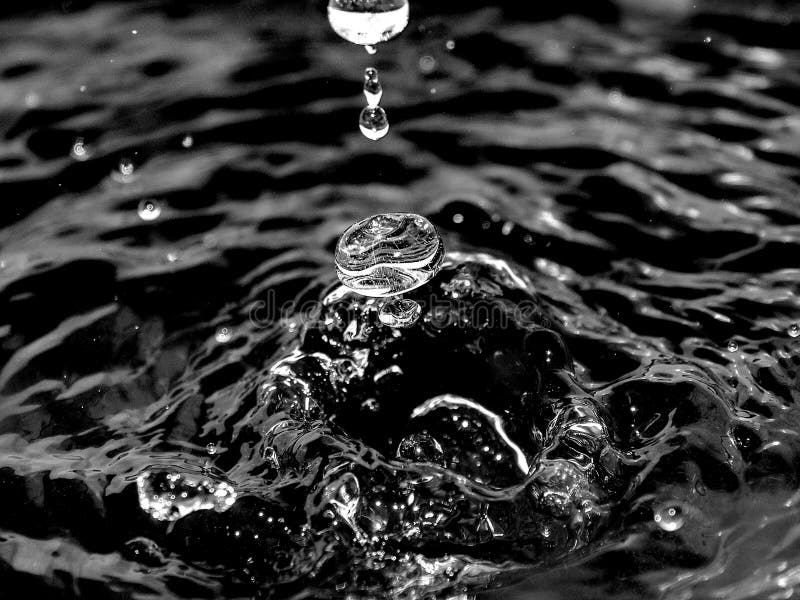 Splashes of Water with a Splash on a Black and White Image Stock Image ...