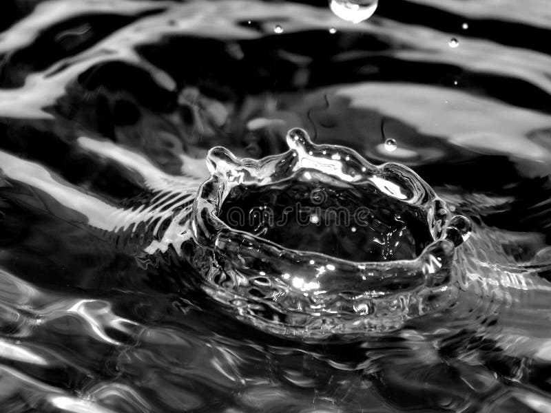Splashes of Water with a Splash on a Black and White Image Stock Image ...
