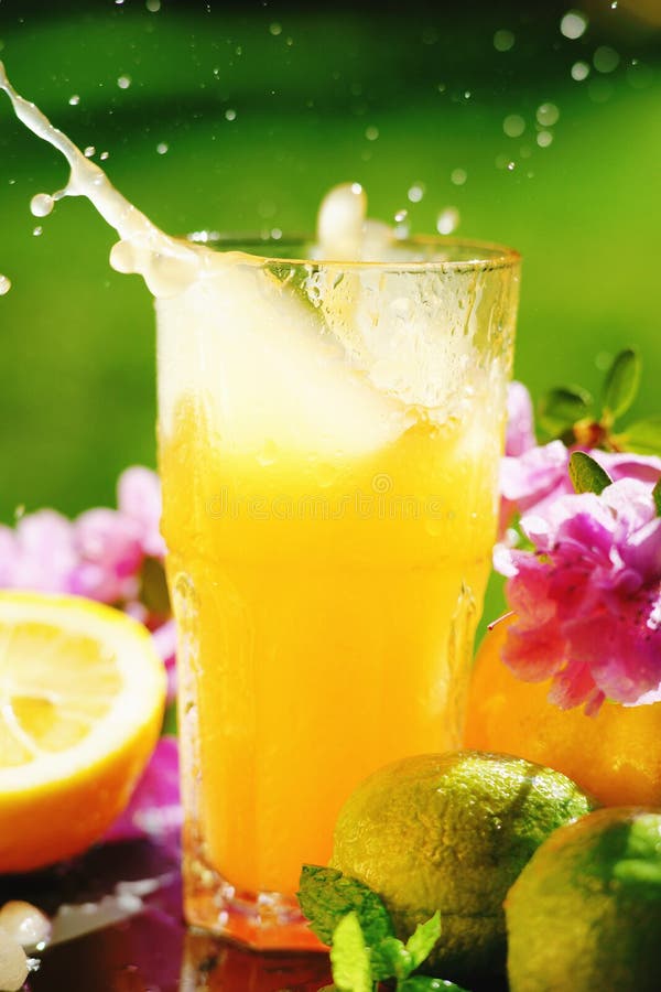 Splashing Fruit Juice with Ice and Fruits Stock Image - Image of ...