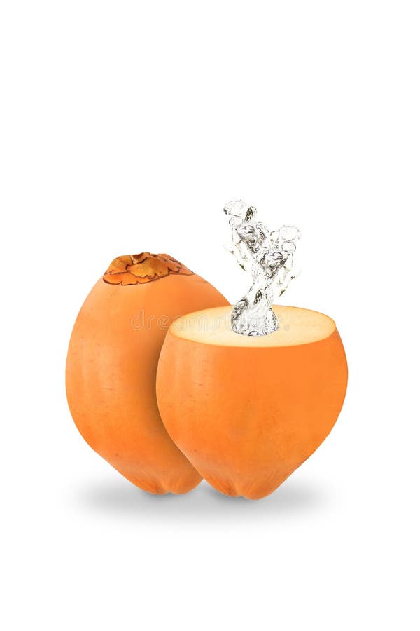 A Splashing King Coconuts on a White Background Stock Photo - Image of ...