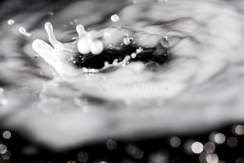 Splashing Milk Macro Shot. Drops of Milk Falling Down and Splashing ...