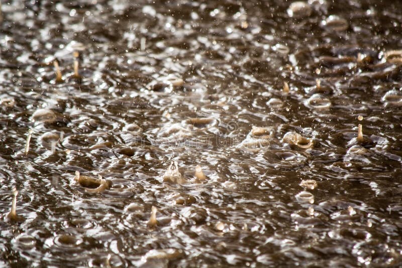 Splashing in a puddle stock photo. Image of splashing - 55522200