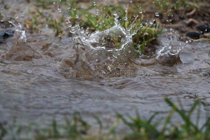 Splashing Rain in the Puddle Stock Image - Image of abstract, drops ...