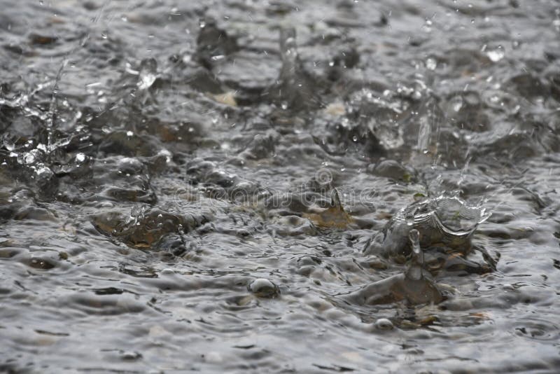 Splashing Raindrops Falling into Water Stock Photo - Image of puddle ...
