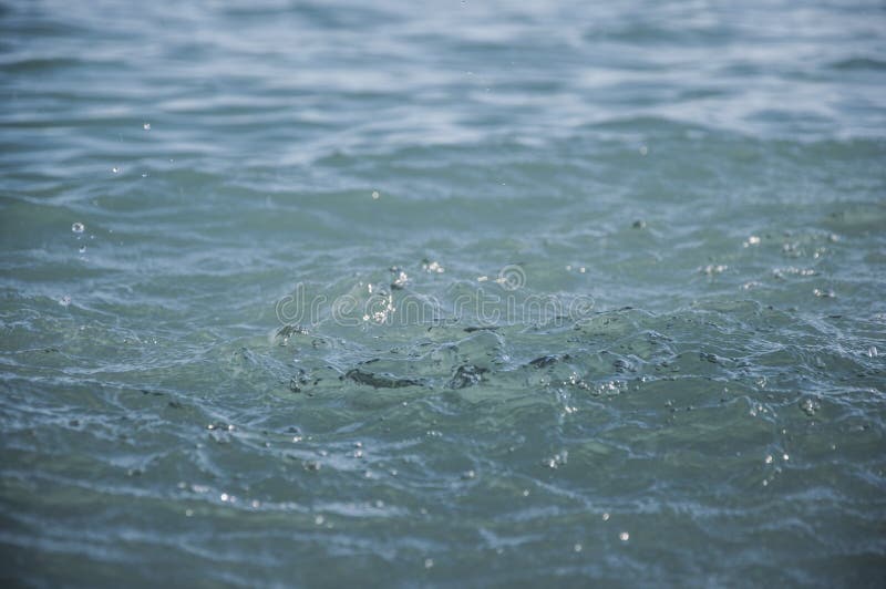 Splashing sea water stock image. Image of ocean, clear - 98830729