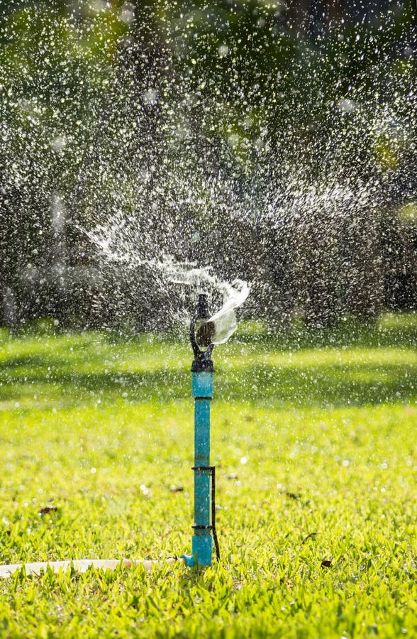 Splashing from a Sprinkler on the Garden Stock Image - Image of natural ...
