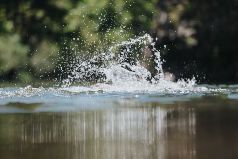 Splashing Water Creating Beautiful Patterns in a Natural Setting Stock ...