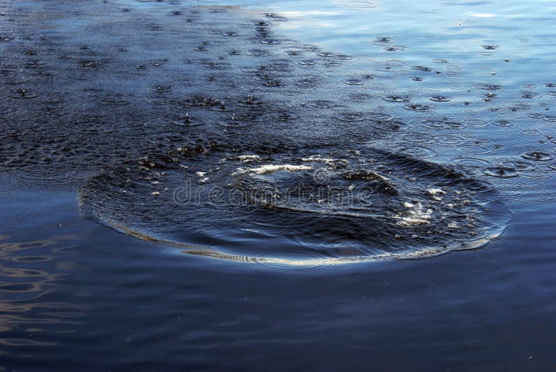 123 Dropped Something Photos - Free & Royalty-Free Stock Photos from ...