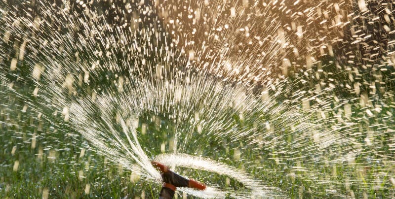 Splashing Water from a Hose on the Lawn Stock Image - Image of green ...