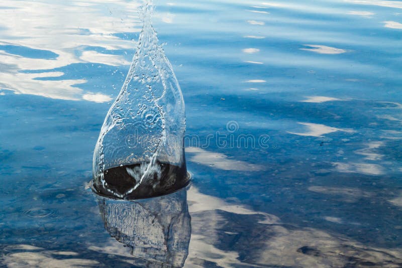 Splashing Water from a Stone that Fell into a River Stock Photo - Image ...