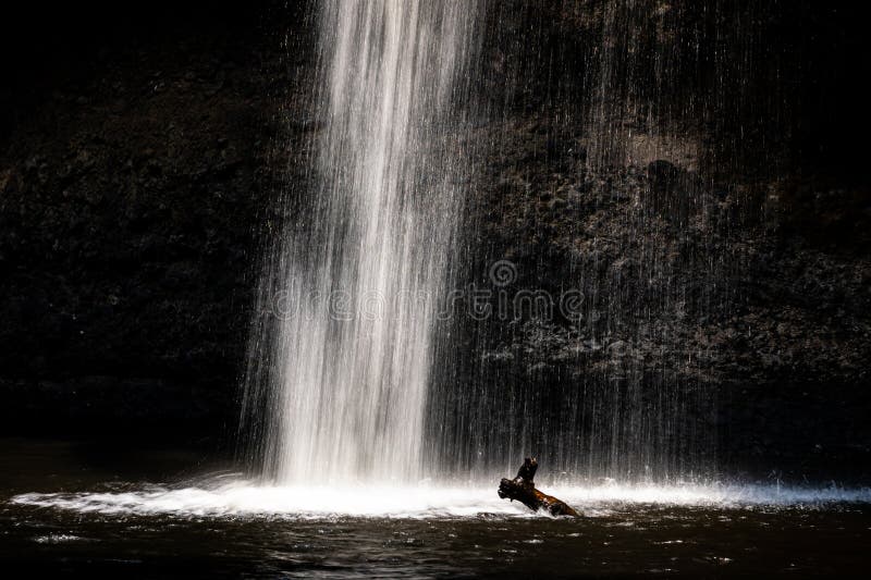 Splashing Waterfall Drop on Pond with Dark Background of Cave Stock ...