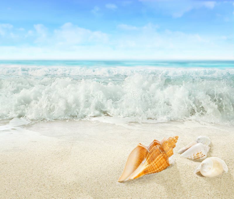 Splashing Big Waves on the Seashore. Stock Photo - Image of coastal ...