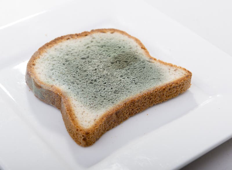 Spleśniały chleb zdjęcie stock. Obraz złożonej z kanapka - 26049906