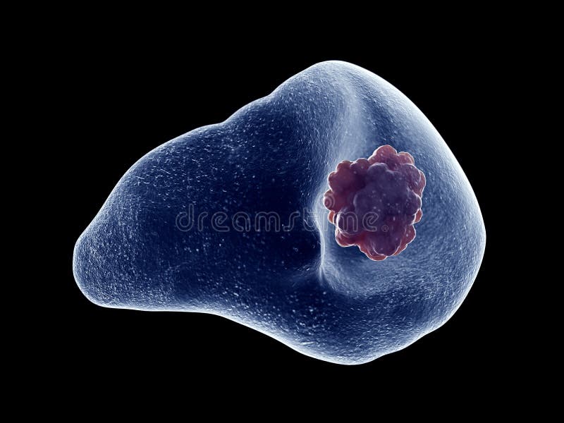 A spleen tumor stock illustration. Illustration of biology - 157589130