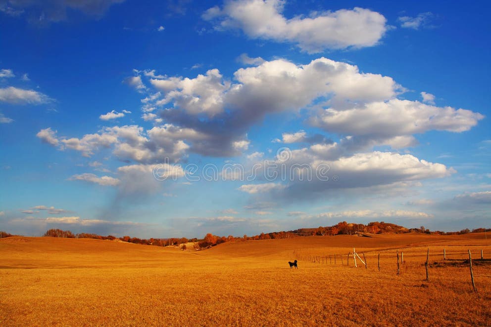 Splendid stock photo. Image of beauty, fecit, farm, autumn - 5500110