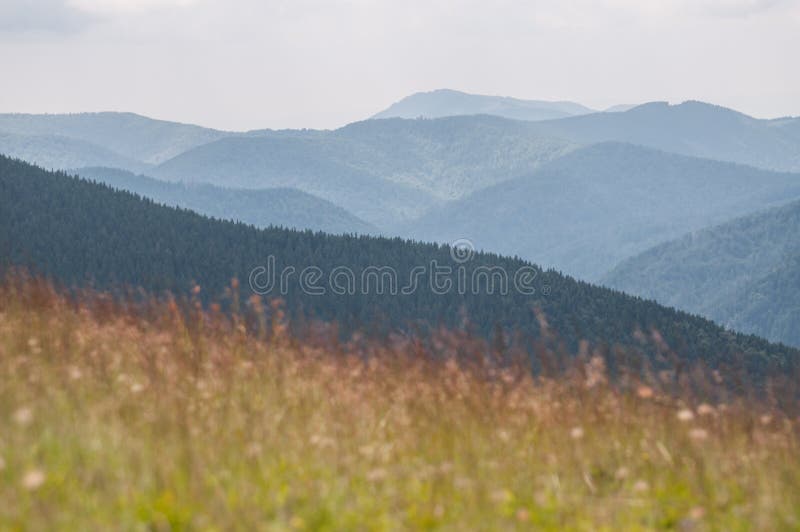 Splendid Forest Covered Mountains Stock Image - Image of protected ...