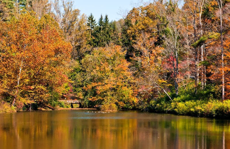 Splendid golden pond stock photo. Image of serenity, peaceful - 22107354