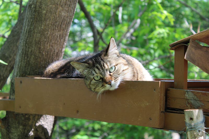 Drone Footage Nations Stock Photos - Free & Royalty-Free Stock Photos ...