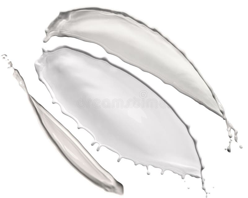 White Paint Splash Isolated on White Background Stock Illustration ...