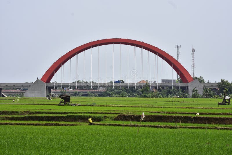 The Splendor of the Kali Kuto Bridge, the Icon of the Trans Java Toll ...