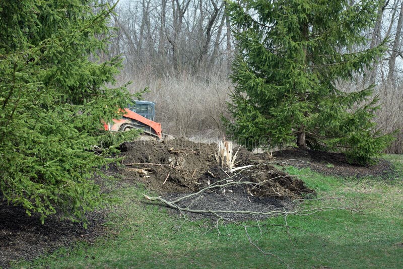 Splintered Tree Trunk after Felling Stock Photo - Image of hill, heavy ...