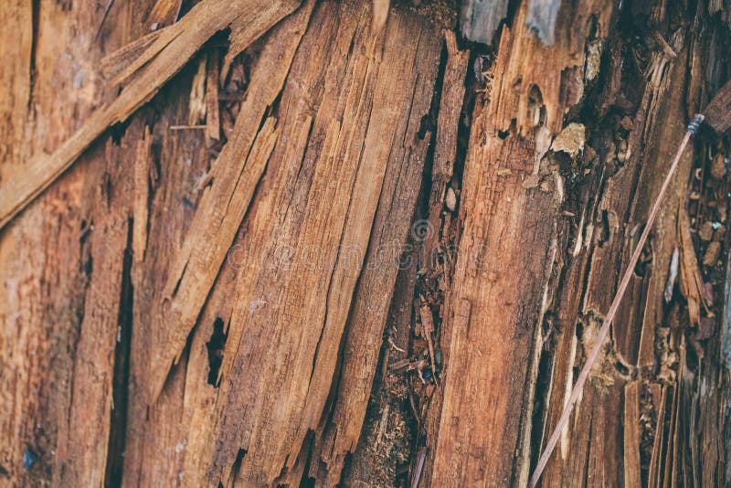 Splintered Wood Texture and Background. Closeup View of Splinter Wood ...