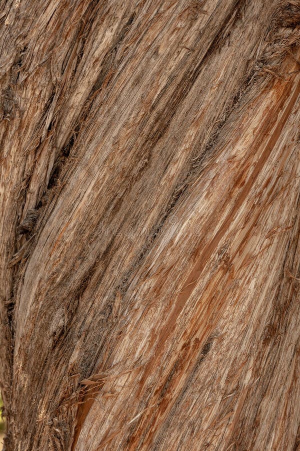 Splintering Wood Stock Photos - Free & Royalty-Free Stock Photos from ...