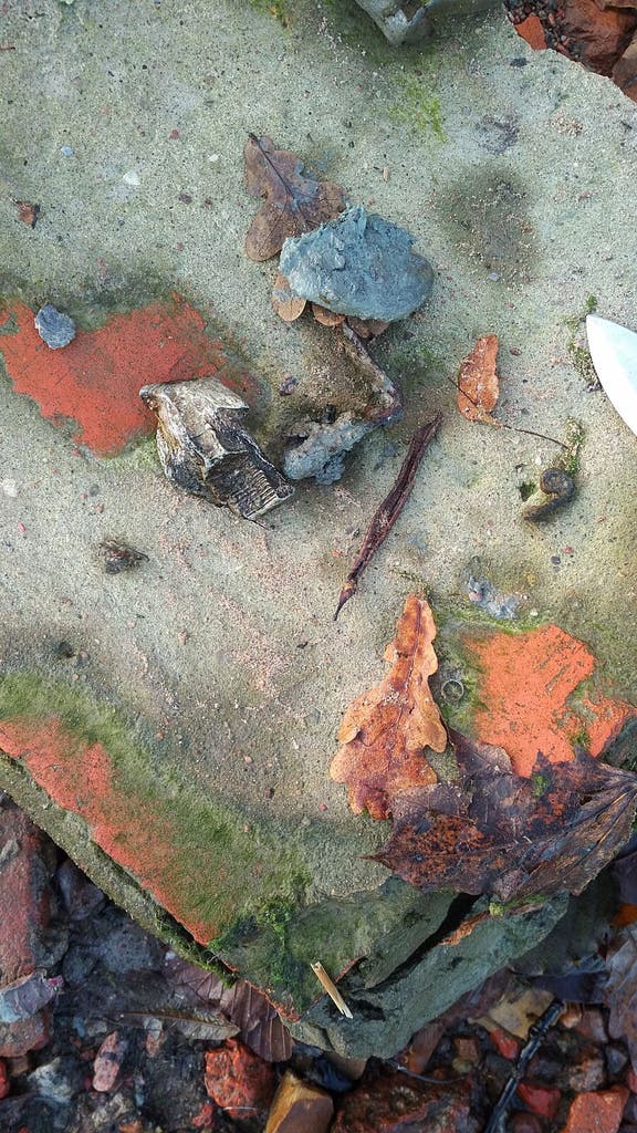 Splinters stock photo. Image of natural, autumn, splinters - 169053134