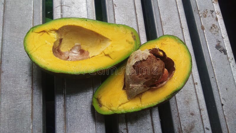 Split Avocado Fruit on the Plat Stock Image - Image of food, cooking ...