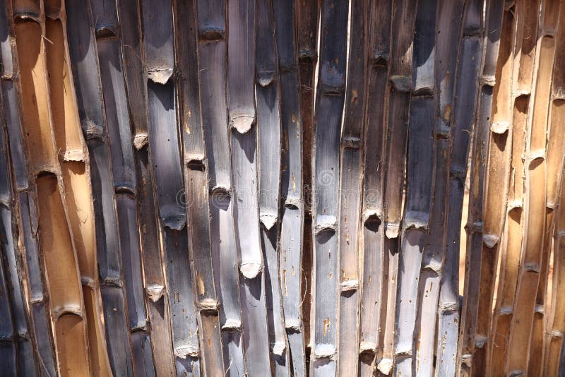 Split bamboo texture fence stock photo. Image of background - 163467280
