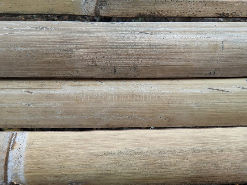 Split Bamboo Trees are Arranged Horizontally As Seats in Yellow Stock ...