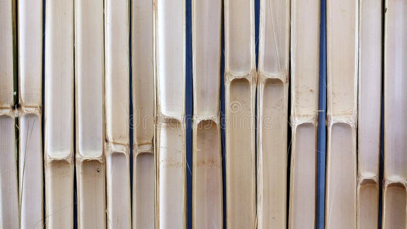 Bamboo Forest stock photo. Image of climate, growth, stalks - 52968160
