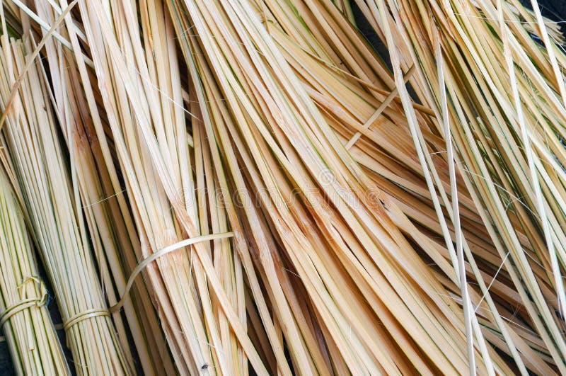 Split bamboo texture fence stock photo. Image of background - 163467280