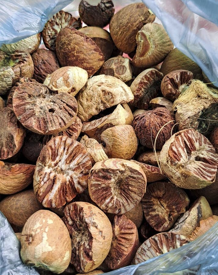 Split Betel Nut in a Bag, Ready To Sort. Stock Photo - Image of asian ...