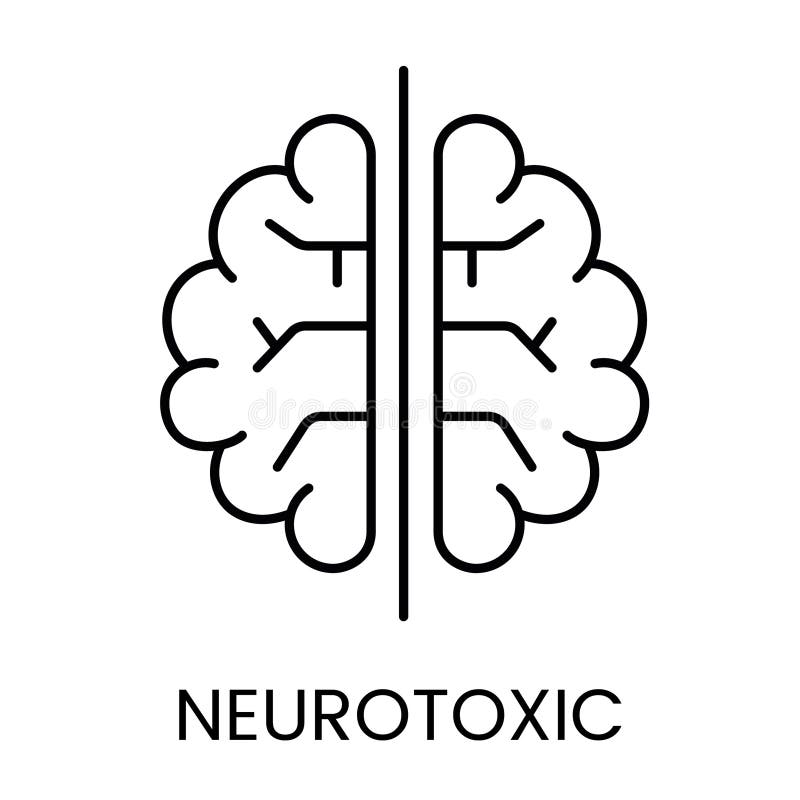 A Split Brain Icon in Vector, with a Dividing Line and Neural ...