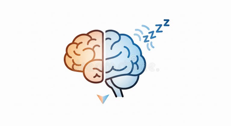 Split Brain Stock Illustrations – 2,055 Split Brain Stock Illustrations ...