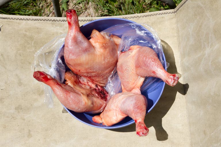 Split Chicken Carcass in Half Stock Image - Image of skin, piece: 97200237