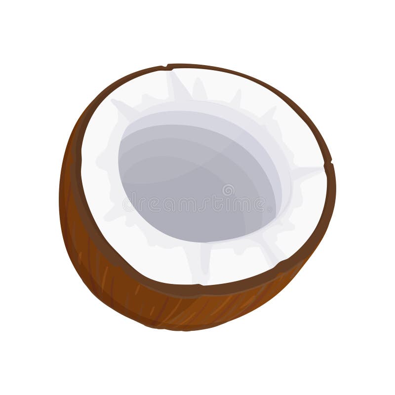 Split the Coconut in Half. Cartoon Coconut Icon Stock Vector ...