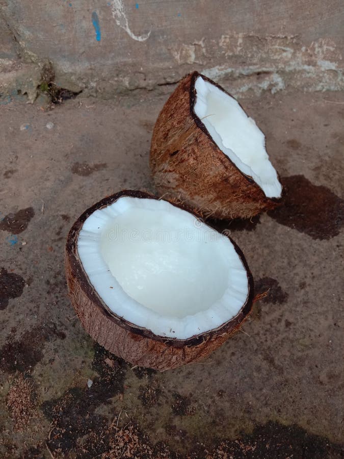 The Coconut and Shell are Split, Fresh White with Thick Flesh Stock ...