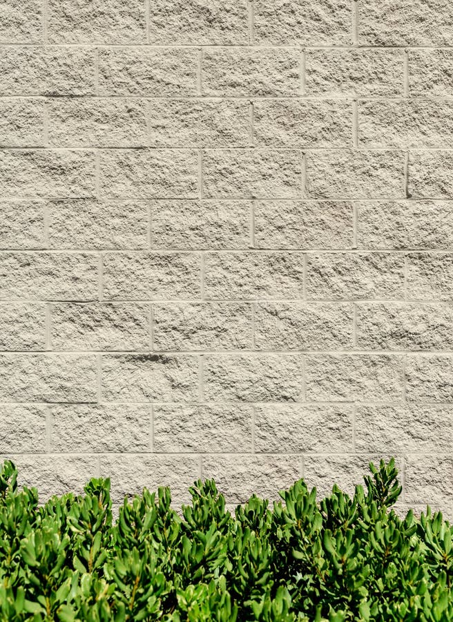 Titanium Buff Stock Photos - Free & Royalty-Free Stock Photos from ...