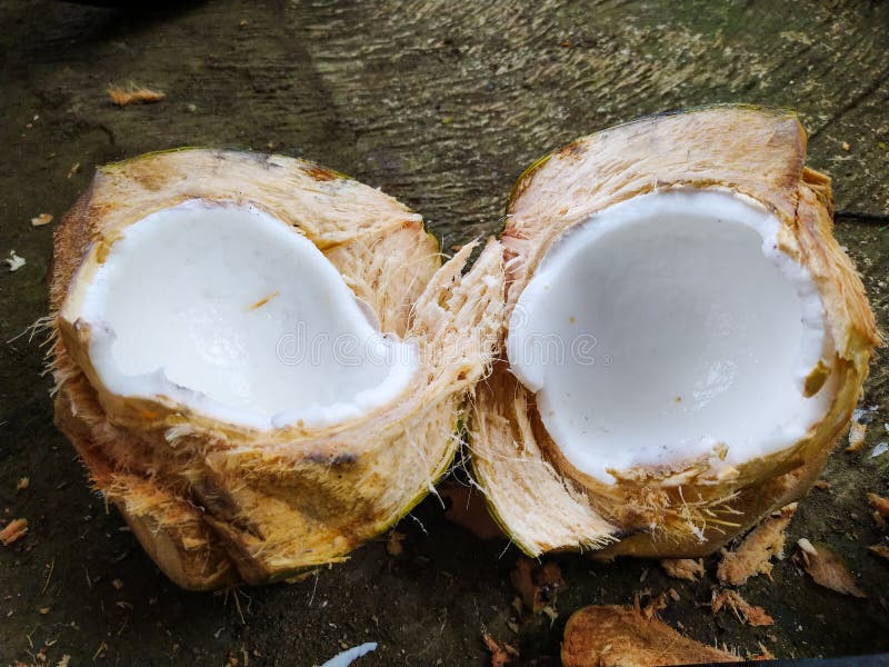 Split Fresh Young Green Coconut Stock Photo - Image of baking, snack ...
