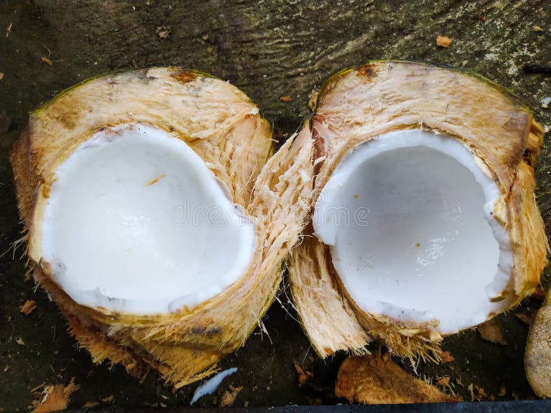 Split Fresh Young Green Coconut Stock Image - Image of food, produce ...