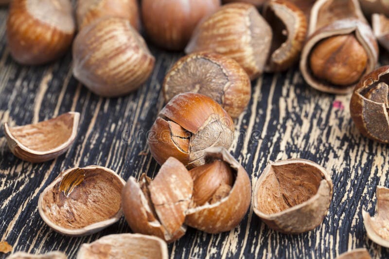 Split Hazelnuts on the Table Stock Photo - Image of table, grain: 262422480
