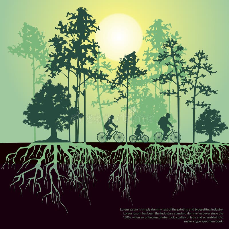 Split Illustration with Trees and Roots. Family Riding Bicycles Stock ...