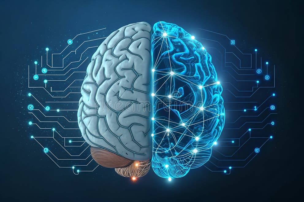 A Split Image Showing Half a Human Brain and Half a Digital, AI-powered ...