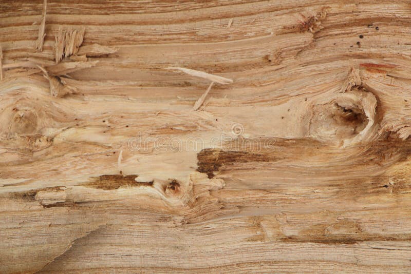 Split log stock image. Image of bark, firewood, tree - 96708579